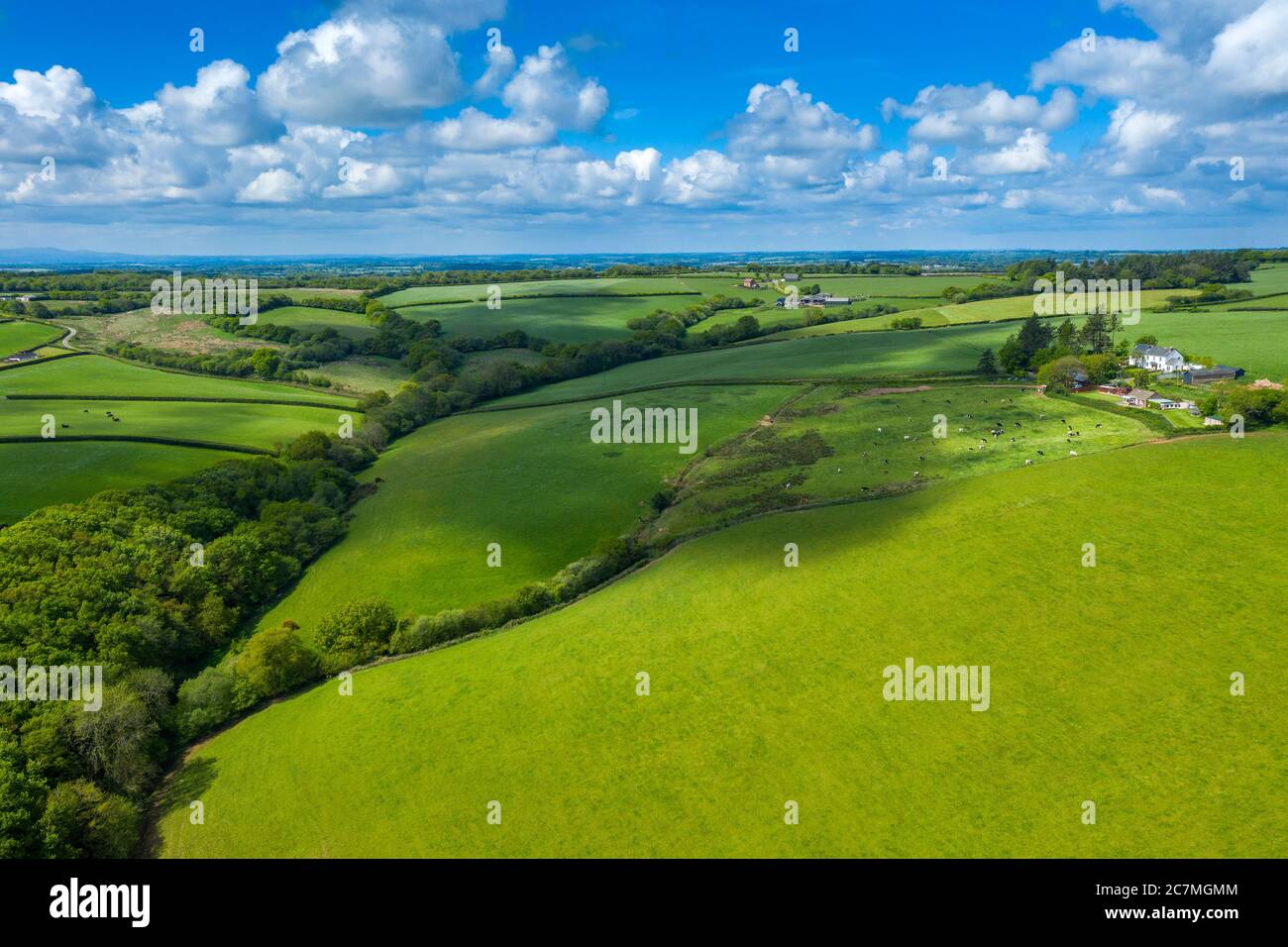 Spring in Devon near Tiverton, Devon, England, United Kingdom, Europe ...