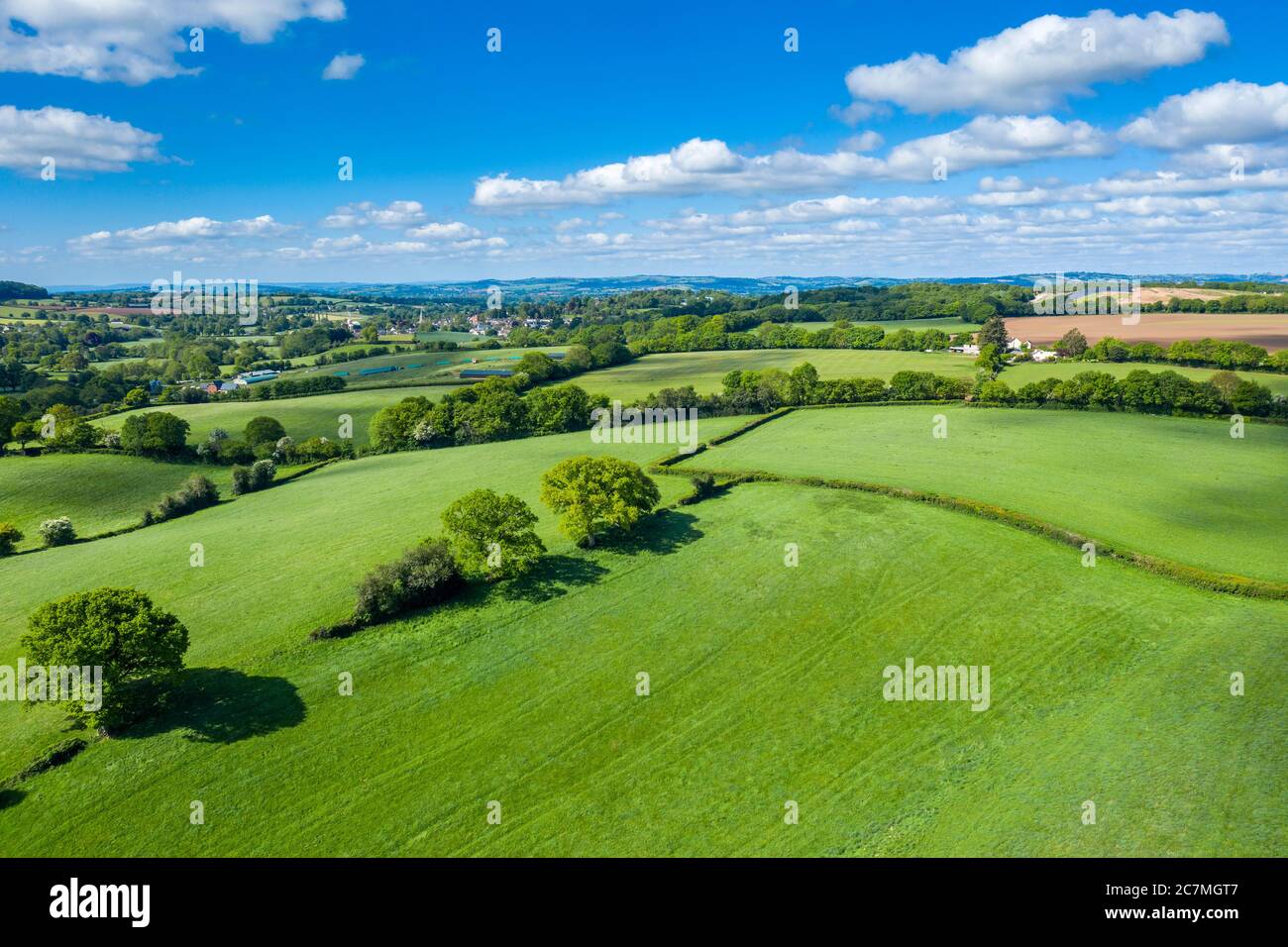 Spring in Devon near Uffculme, Devon, England, United Kingdom, Europe ...