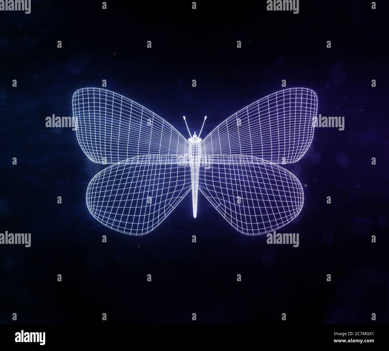 Abstract neon violet polygonal geometric butterfly consisting of lines ...