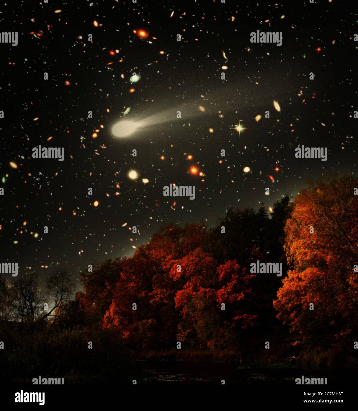 Park forest meteorite hi-res stock photography and images - Alamy