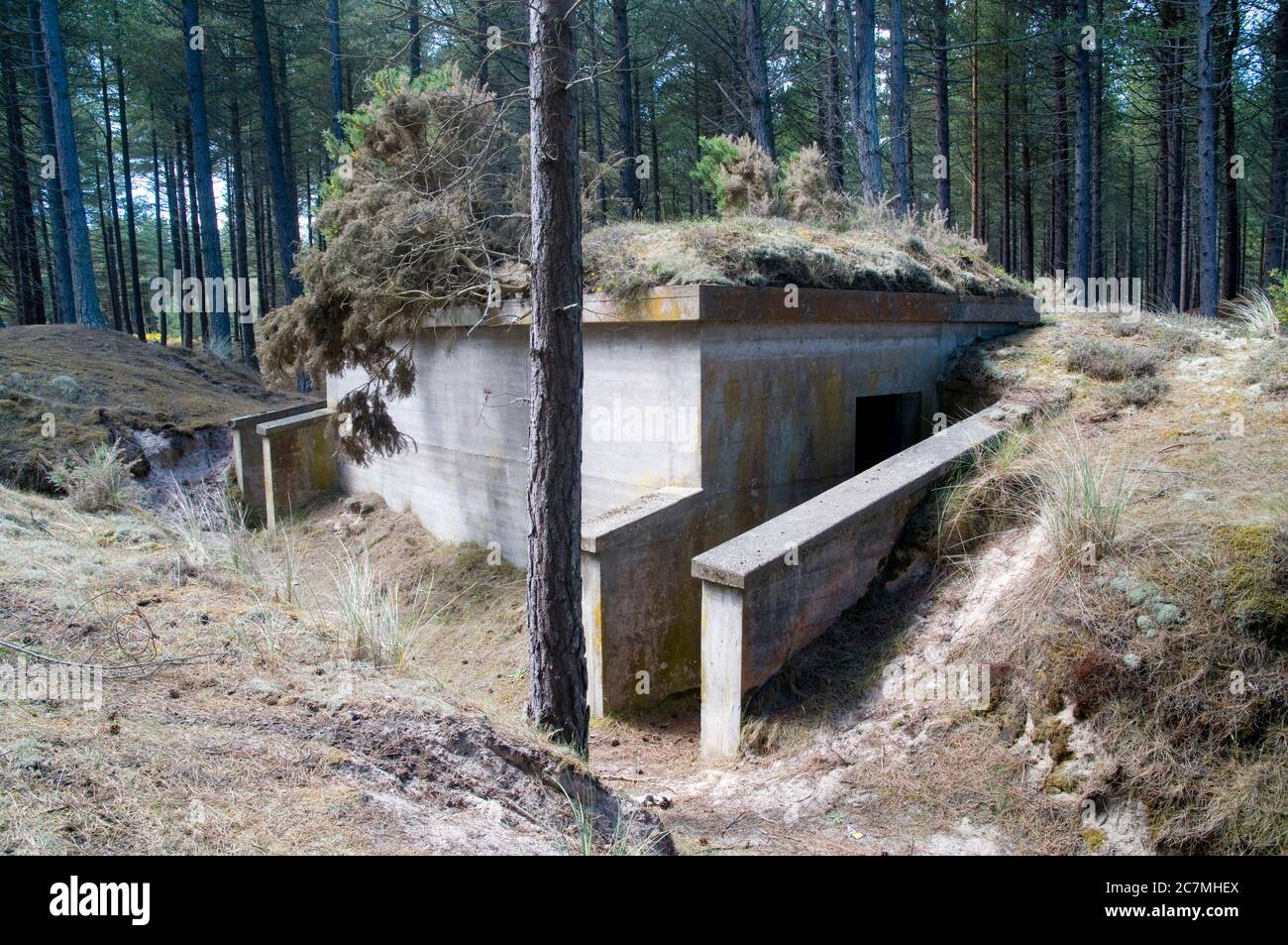 Lossiemouth Forrest on the Moray Firth, Scotland, showing WW2 remains ...