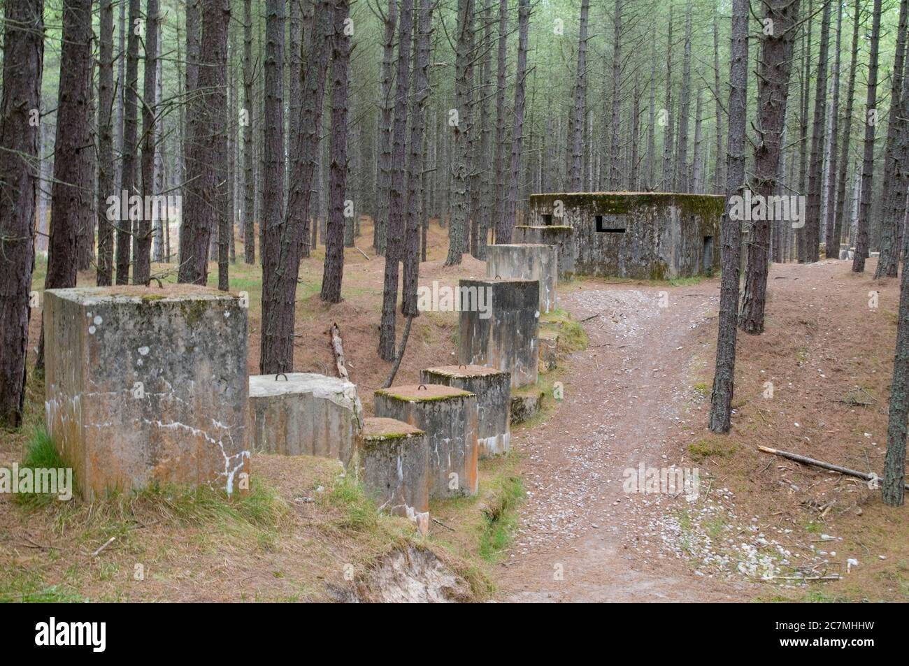 Lossiemouth Forrest on the Moray Firth, Scotland, showing WW2 remains ...