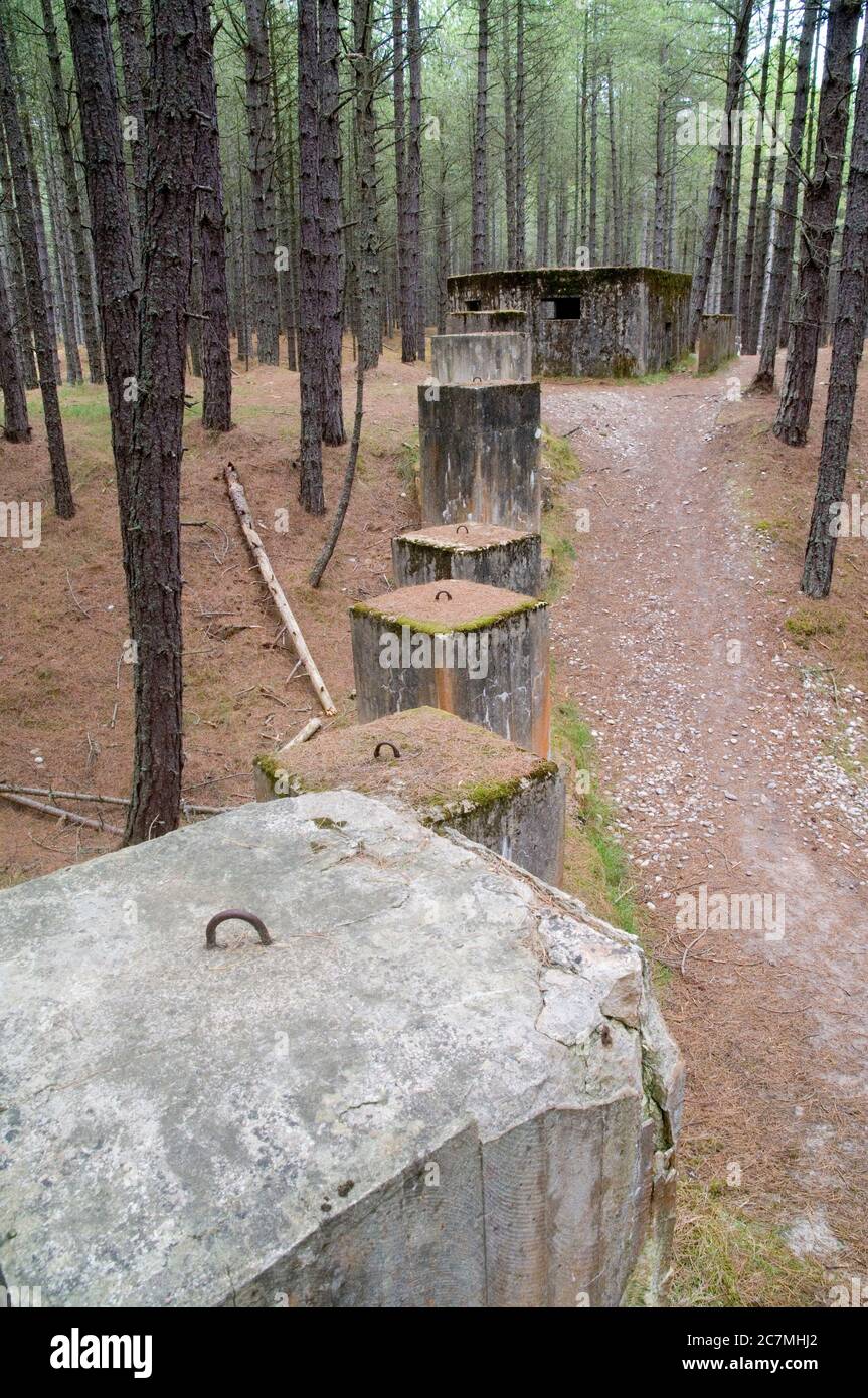 Lossiemouth Forrest on the Moray Firth, Scotland, showing WW2 remains ...