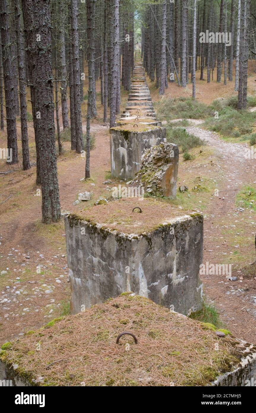 Ww2 remains hi-res stock photography and images - Alamy