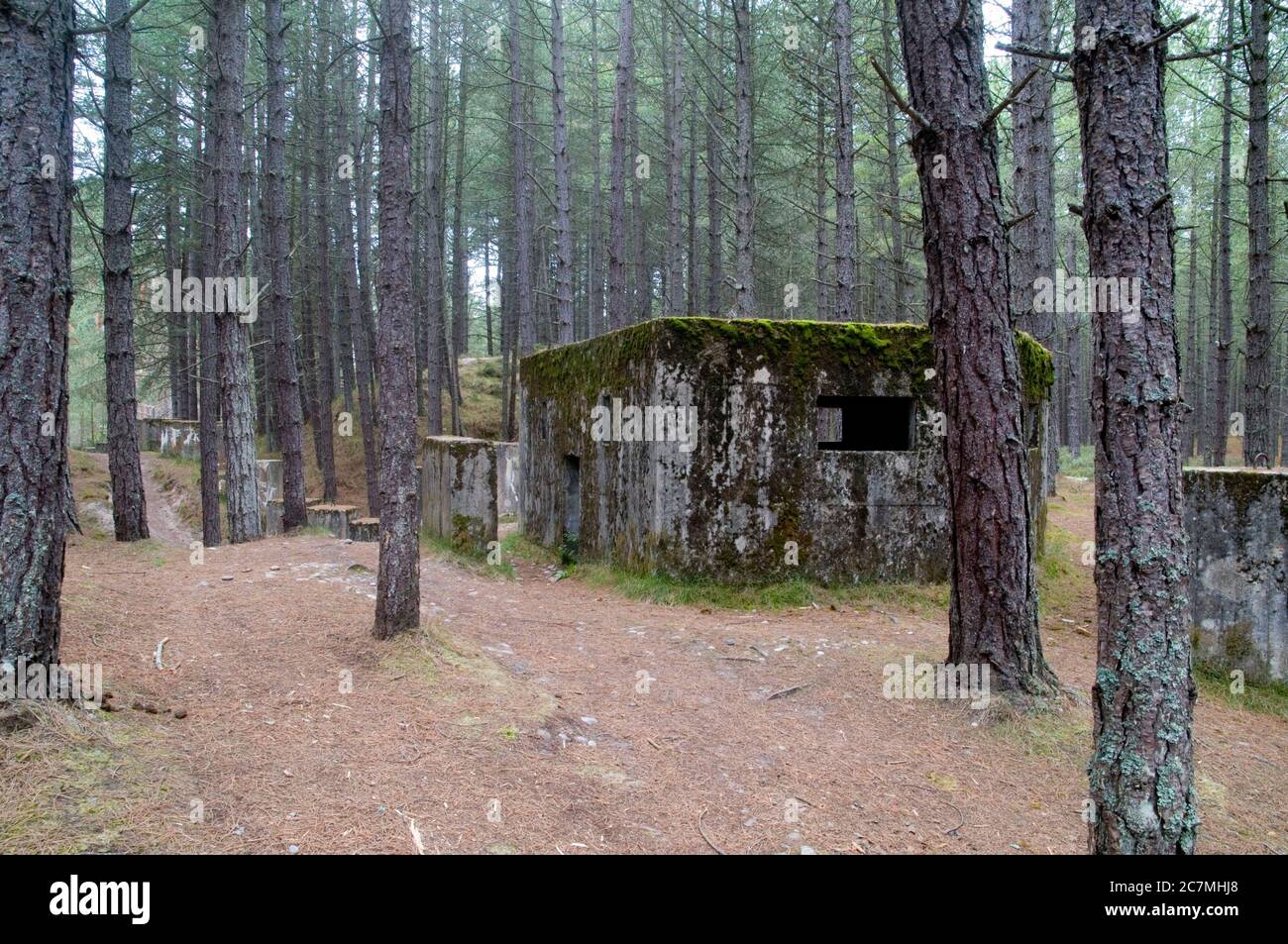 Ww2 remains hi-res stock photography and images - Alamy