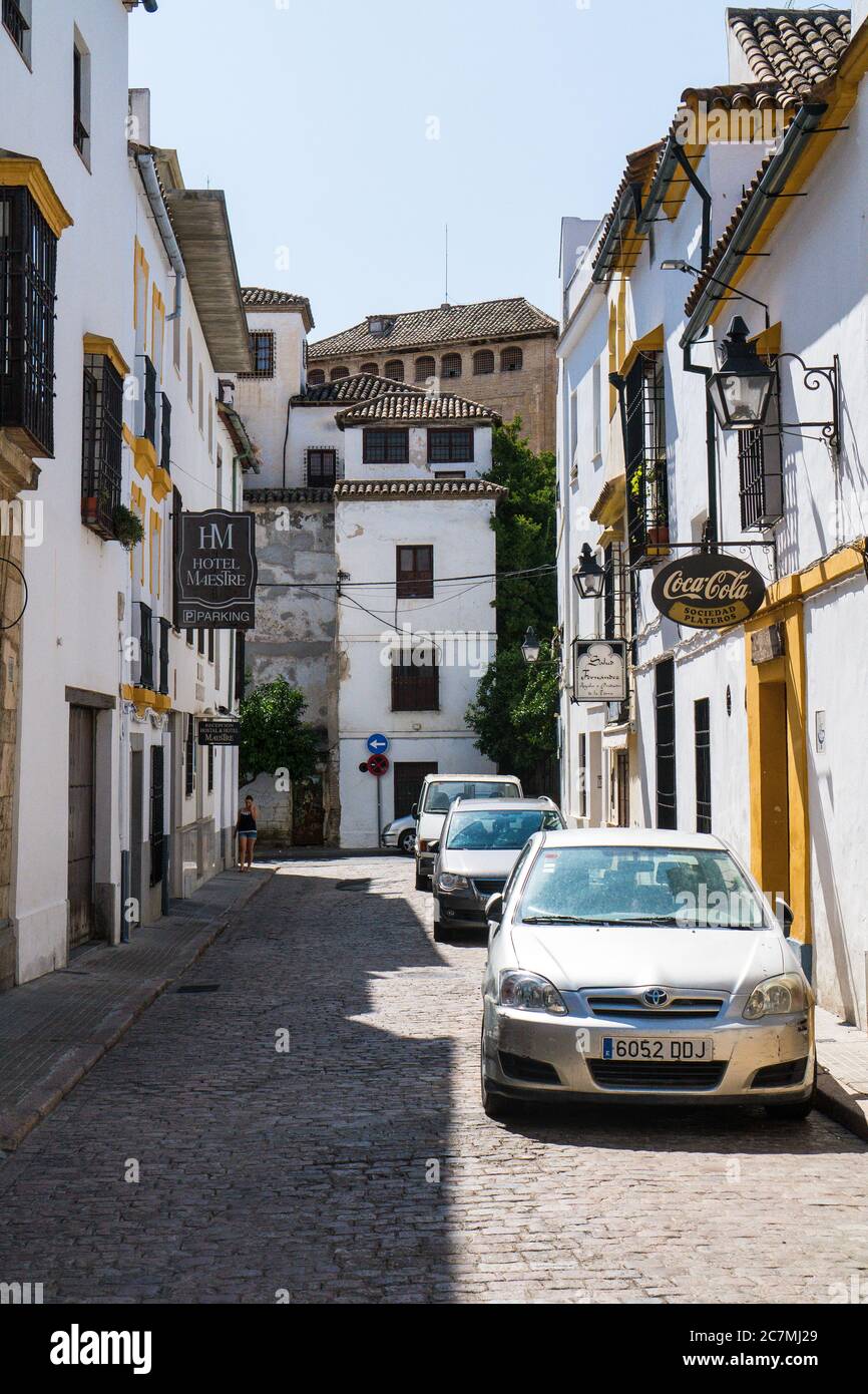 SEVILLE, SPAIN - Aug 30, 2017: I snapped a photo of a very small and ...