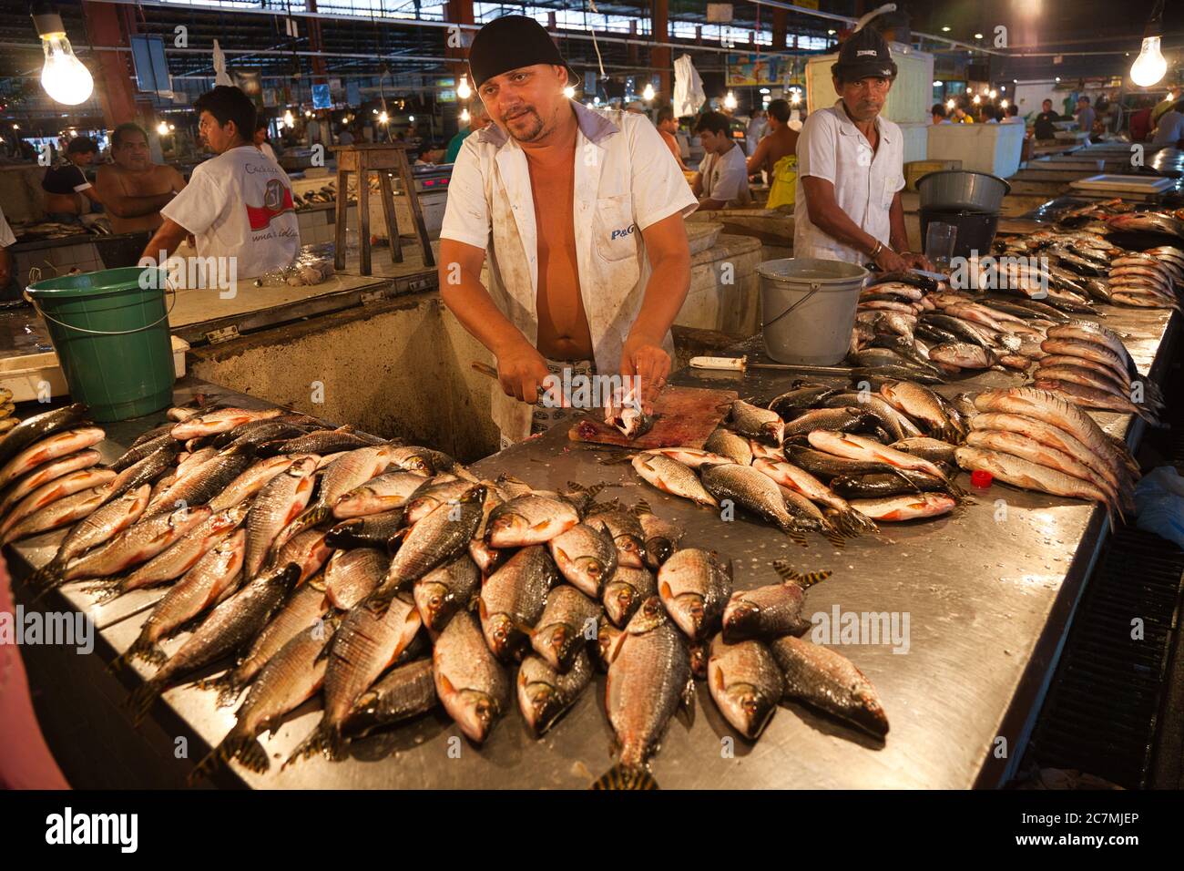 Man at his fish stall at the Fish Market with display of locally caught ...
