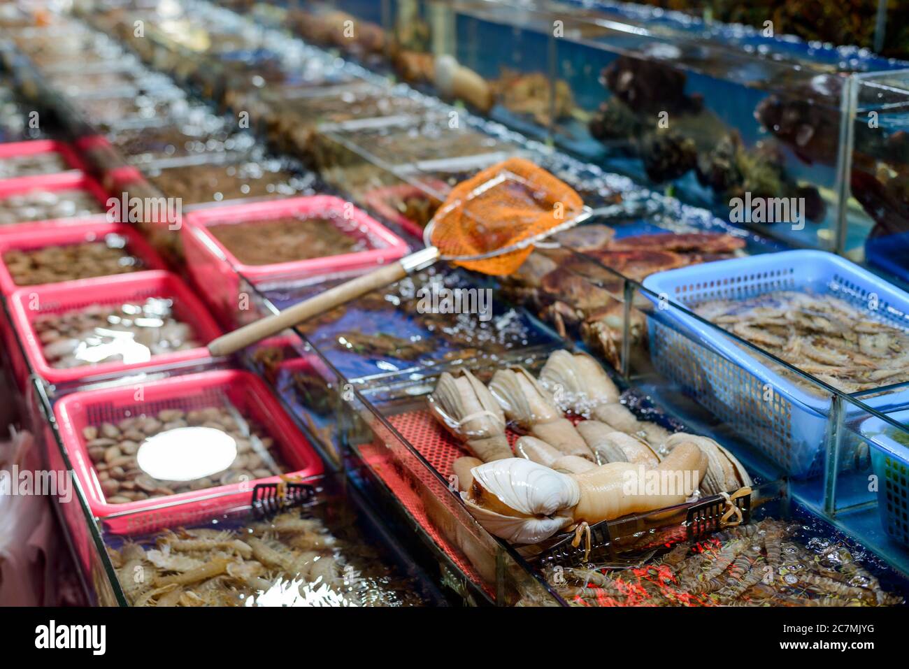 Shellfish Assortment High Resolution Stock Photography and Images - Alamy