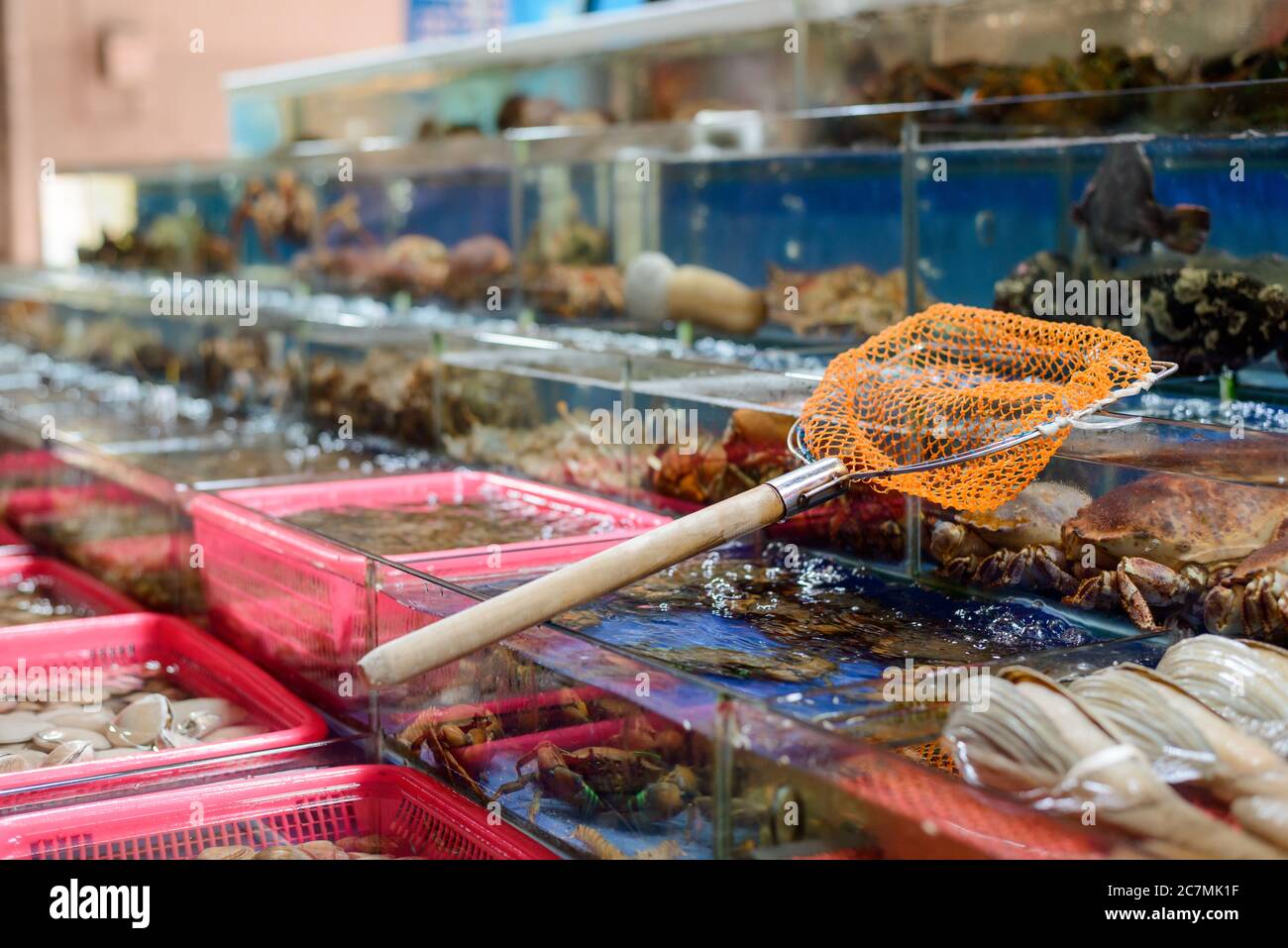 Scoop net hi-res stock photography and images - Alamy