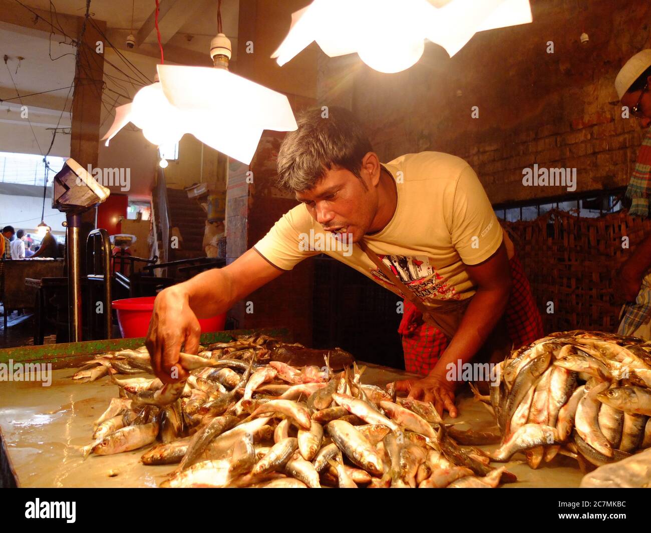 Fish caught on a daily basis in the adjoining rivers are being arranged ...