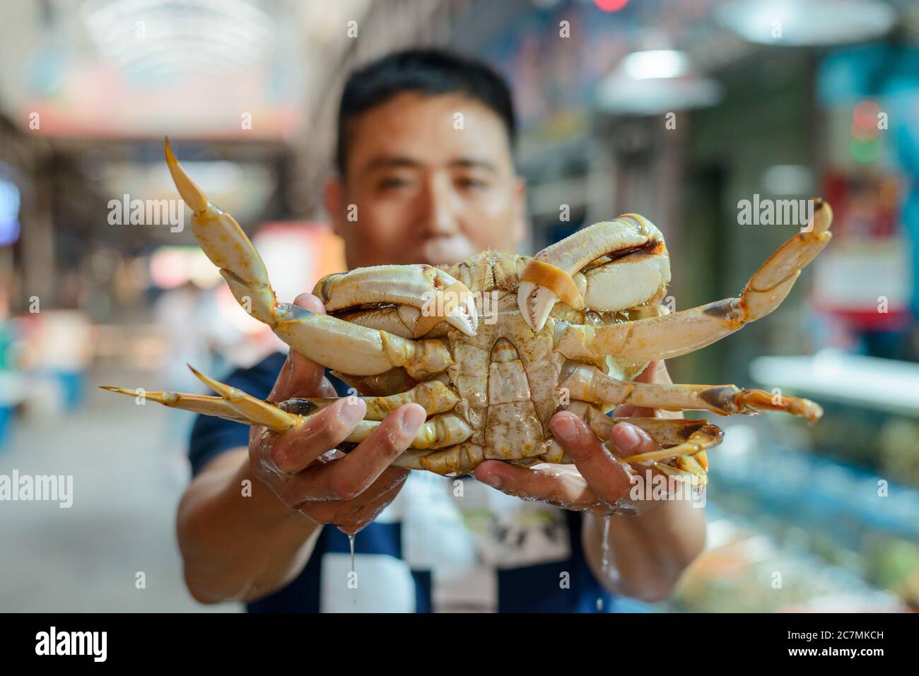 Man shows a crab with tied claws Stock Photo - Alamy