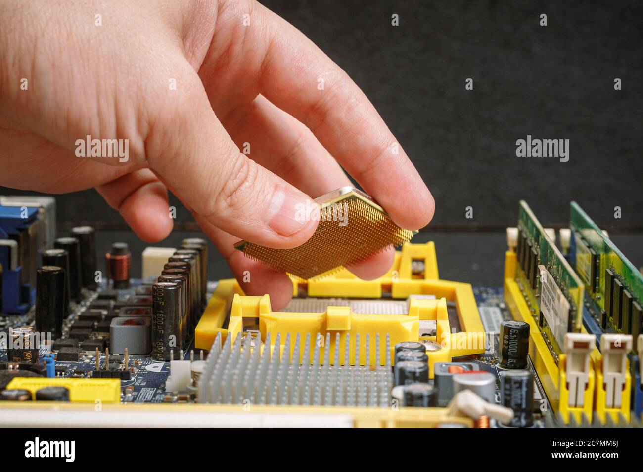 computer motherboard hand puts the processor on the table repair ...
