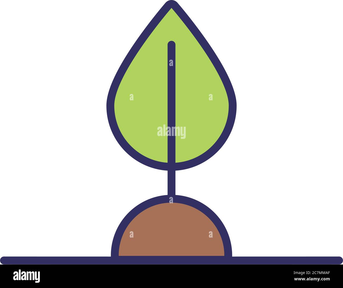 Seed germination illustration Black and White Stock Photos & Images - Alamy