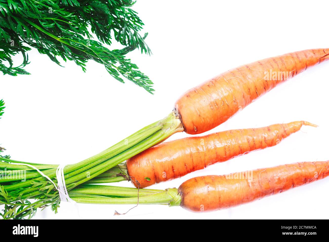 three carrots tied in a bunch on a white background isolate. copy space ...