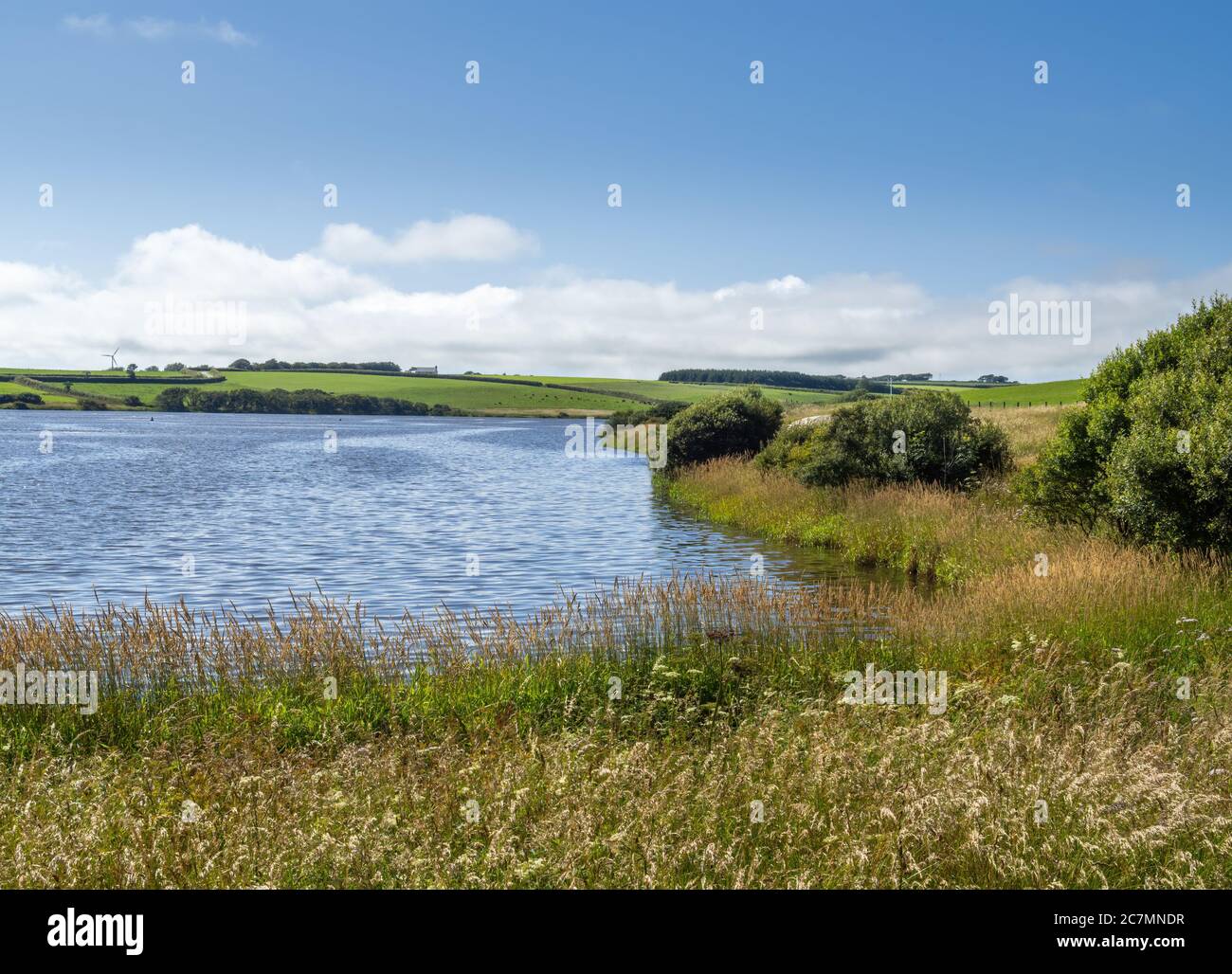 Devon and cornwall hi-res stock photography and images - Alamy