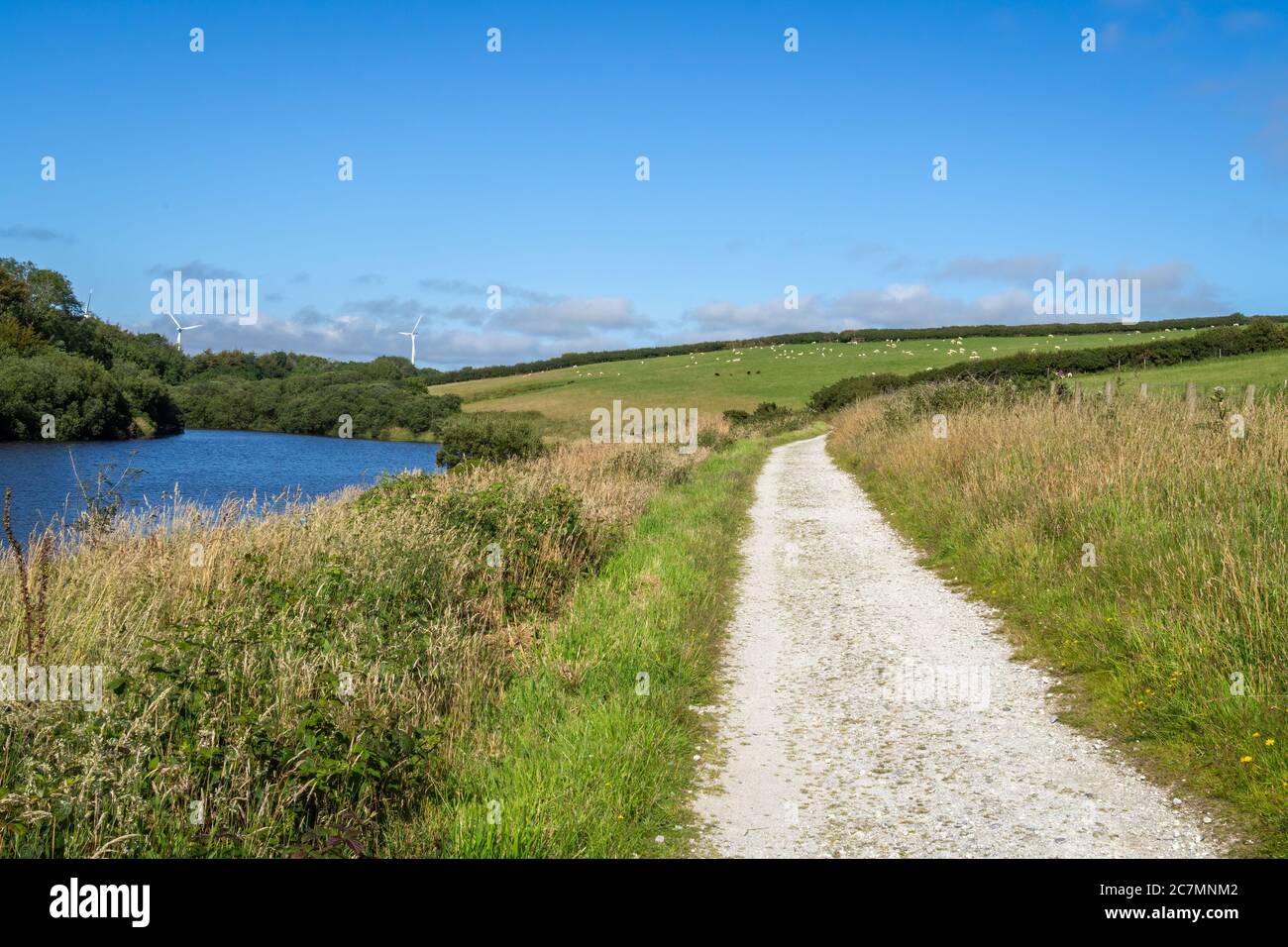 Devon cornwall border hi-res stock photography and images - Alamy