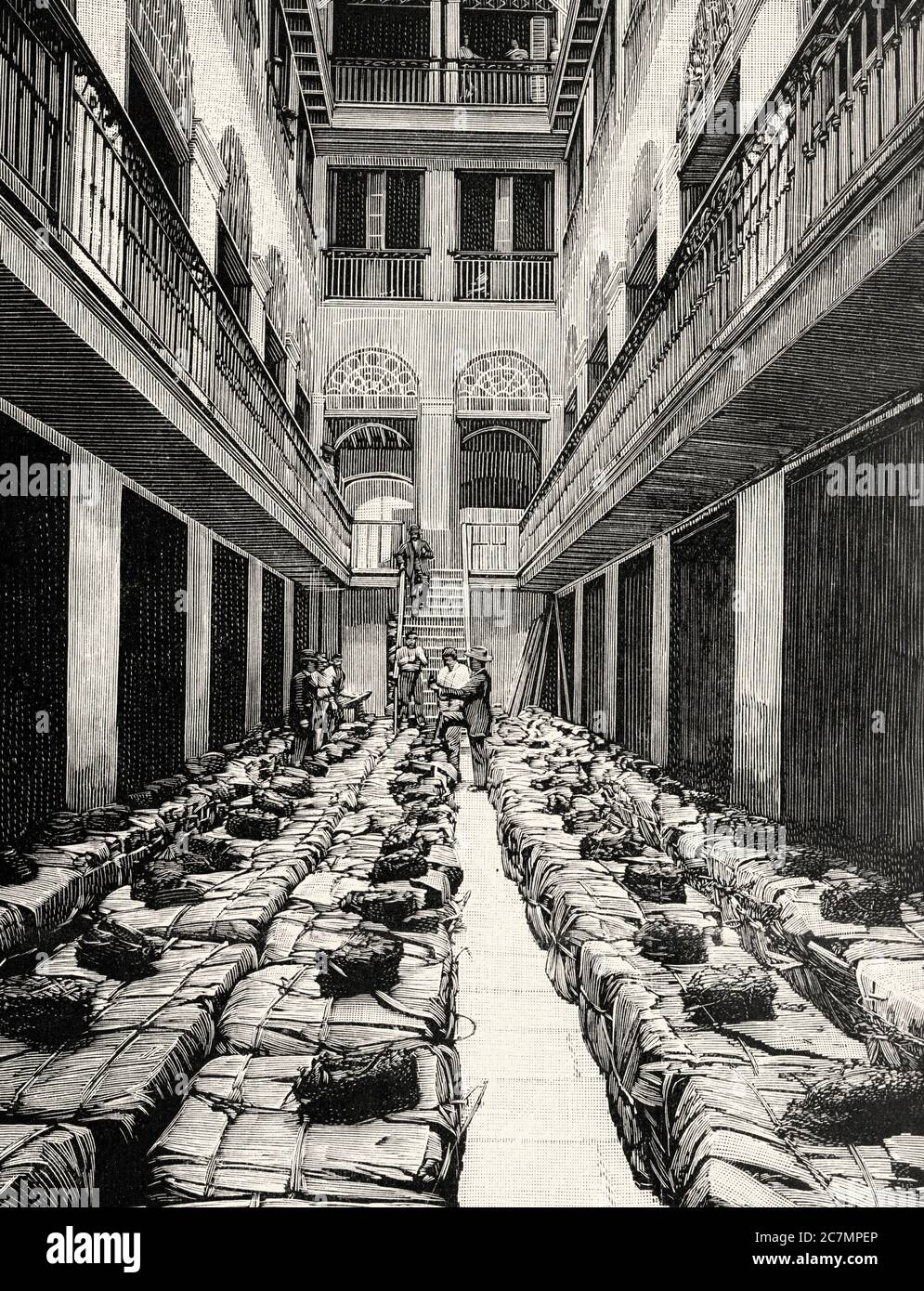 Cigar making 1800s hi-res stock photography and images - Alamy