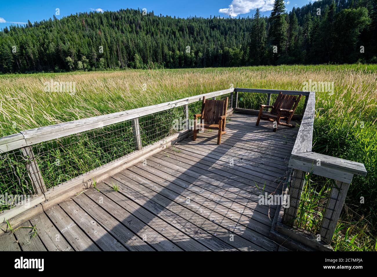 Idaho state bird hi-res stock photography and images - Alamy