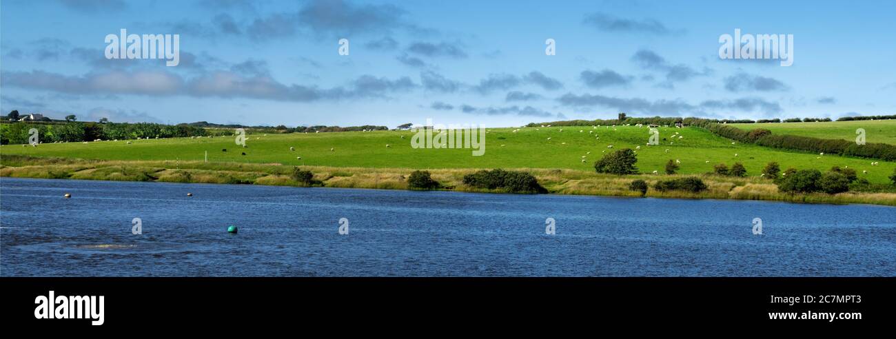View of Upper Tamar Lake, on the Devon Cornwall border, UK Stock Photo ...