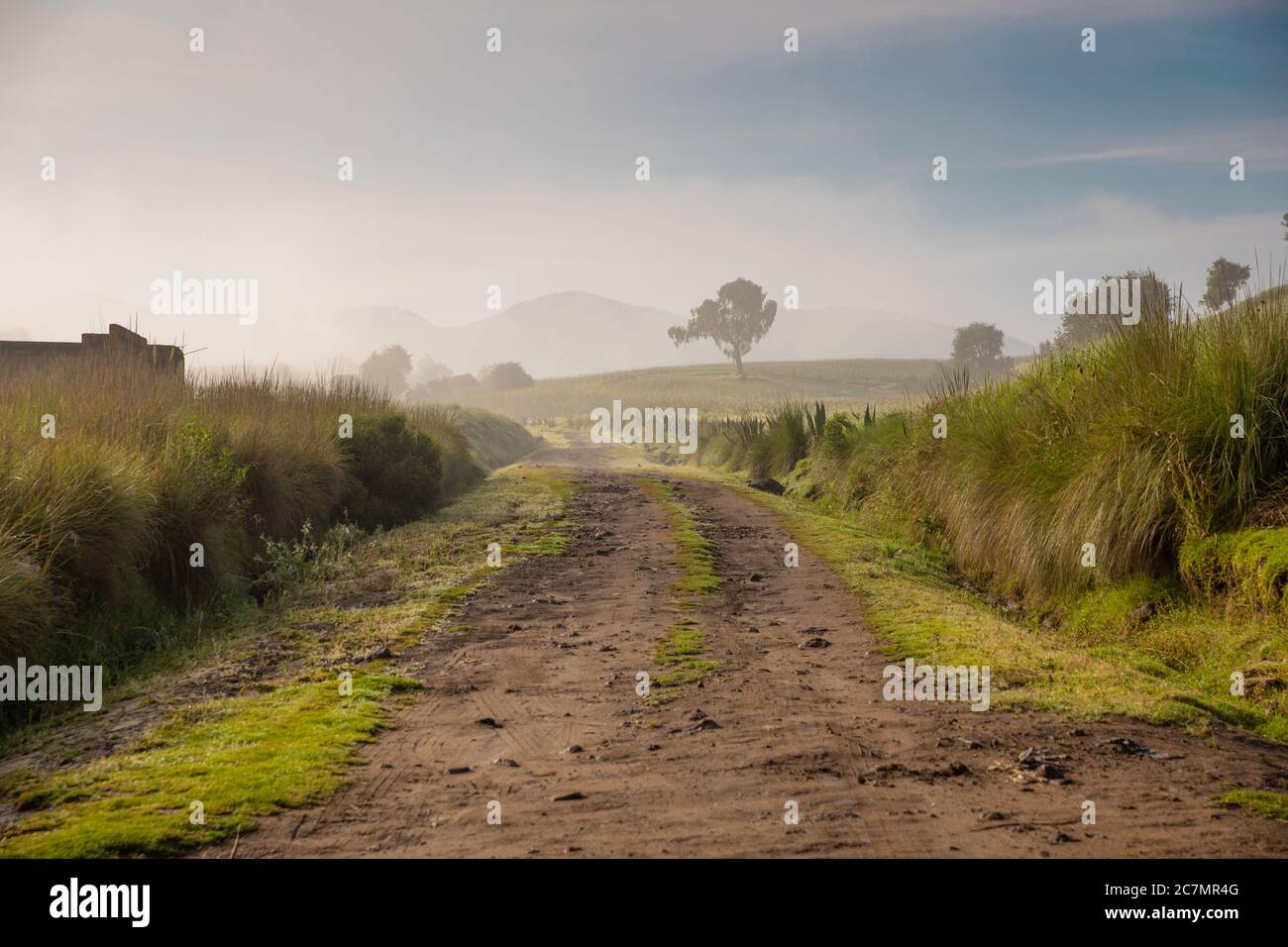 Rural dirt road crossing the countryside Stock Photo - Alamy