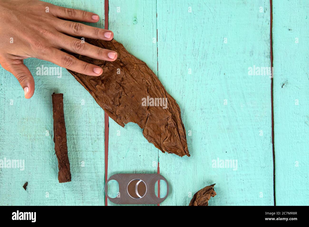 traditional process of making cigars in close-up. A man rolls a tobacco ...