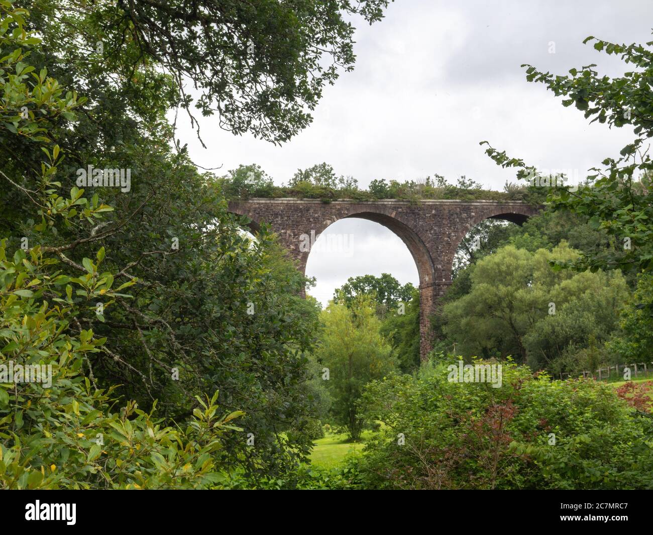 Coles Mill Viaduct, Holsworthy, Devon, glimpsed through trees Stock ...