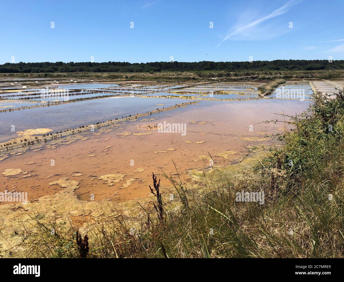Salt marshes of Guerande Stock Photo - Alamy