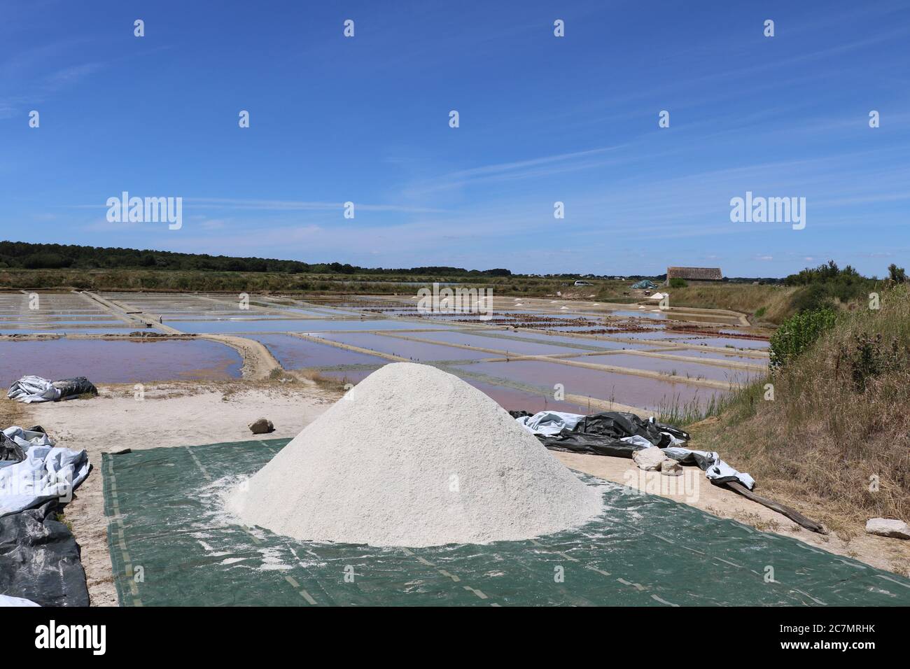 Salt marshes of Guerande Stock Photo - Alamy