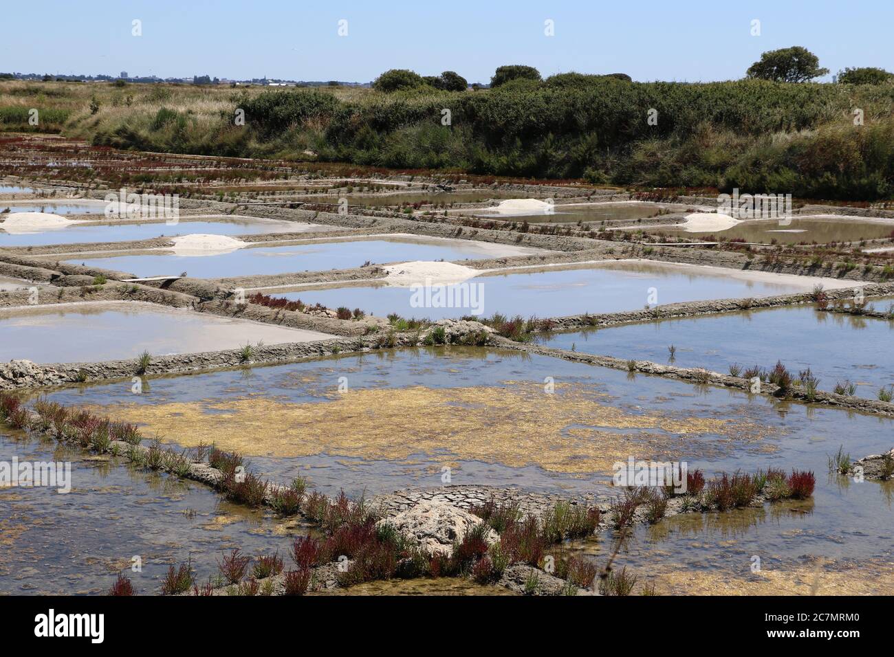 Salt marshes of Guerande Stock Photo - Alamy