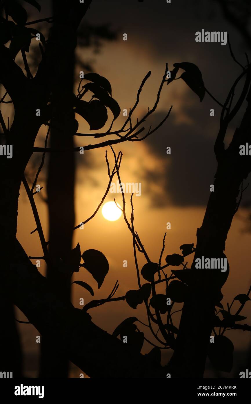 Evening time beauty,spooky sun,sun peeping on the tree Stock Photo - Alamy