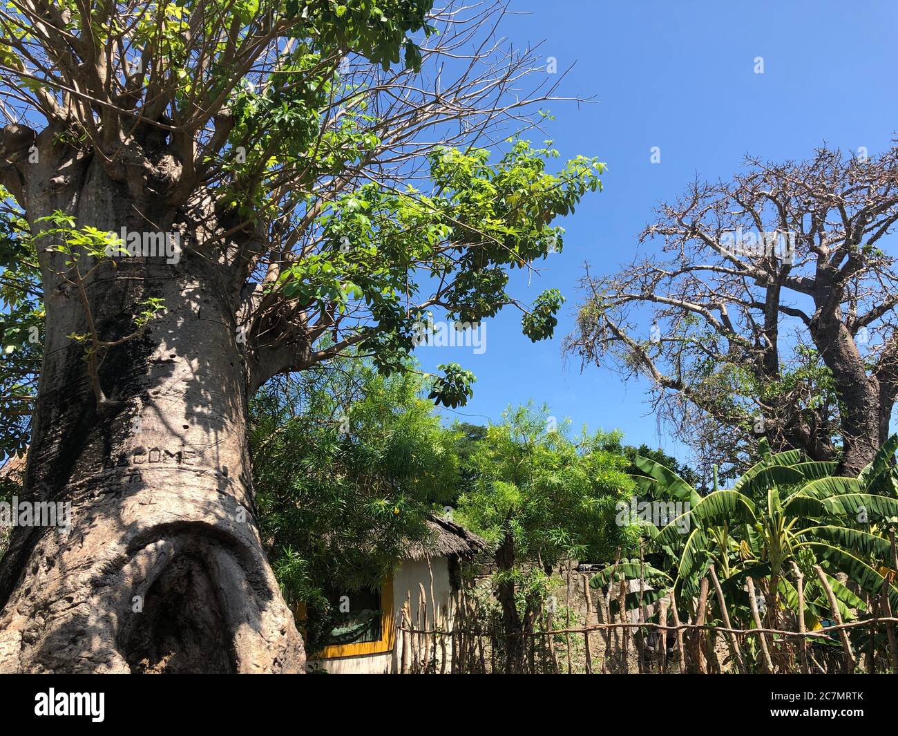 Wasini village hi-res stock photography and images - Alamy