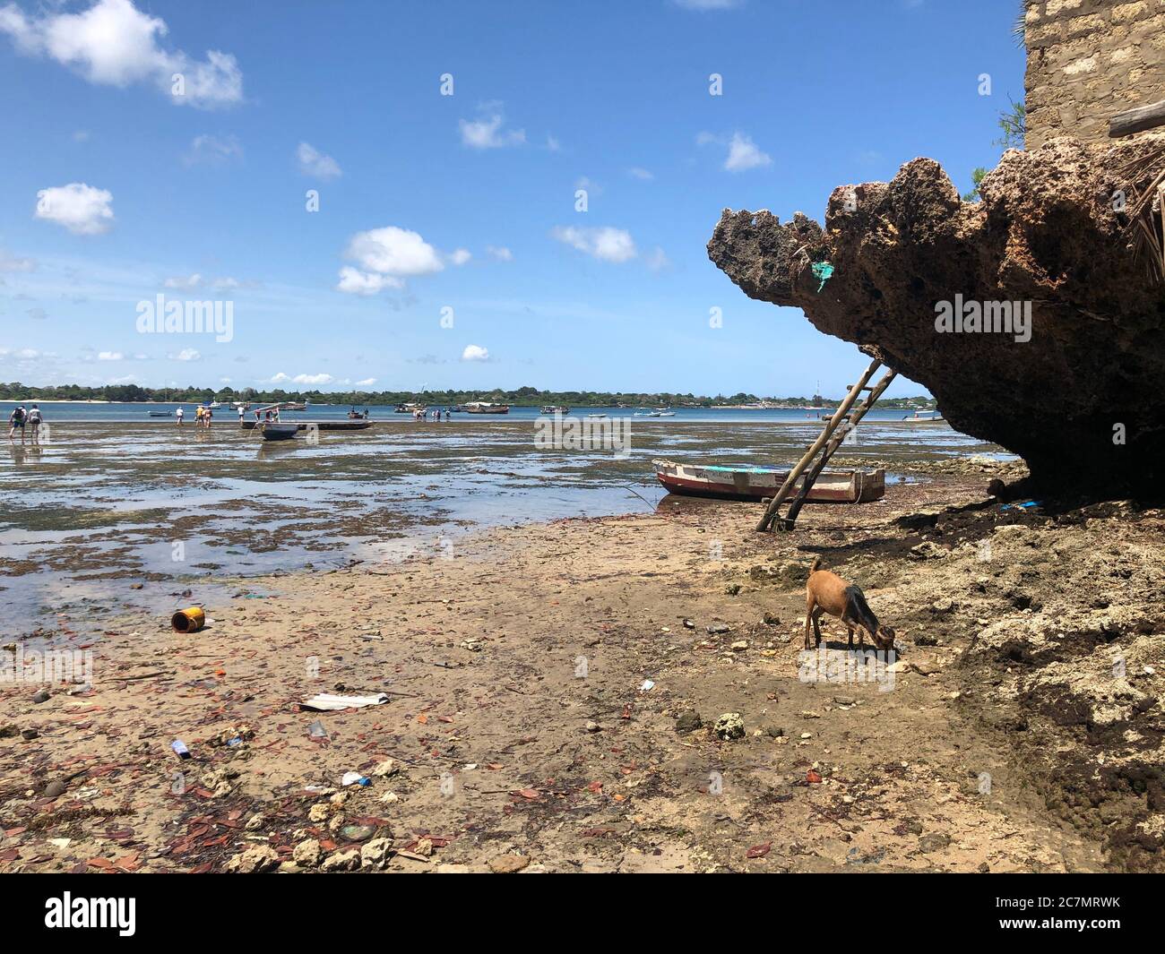 Wasini village hi-res stock photography and images - Alamy