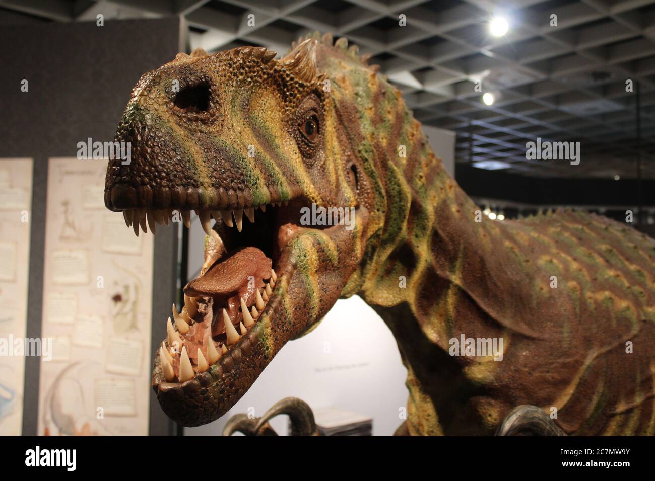 Dinosaurier hi-res stock photography and images - Alamy