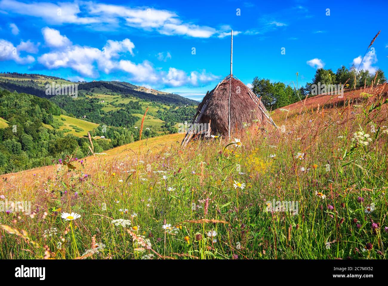 Beautiful countryside landscape with forested hills and haystacks on a grassy rural field in ...