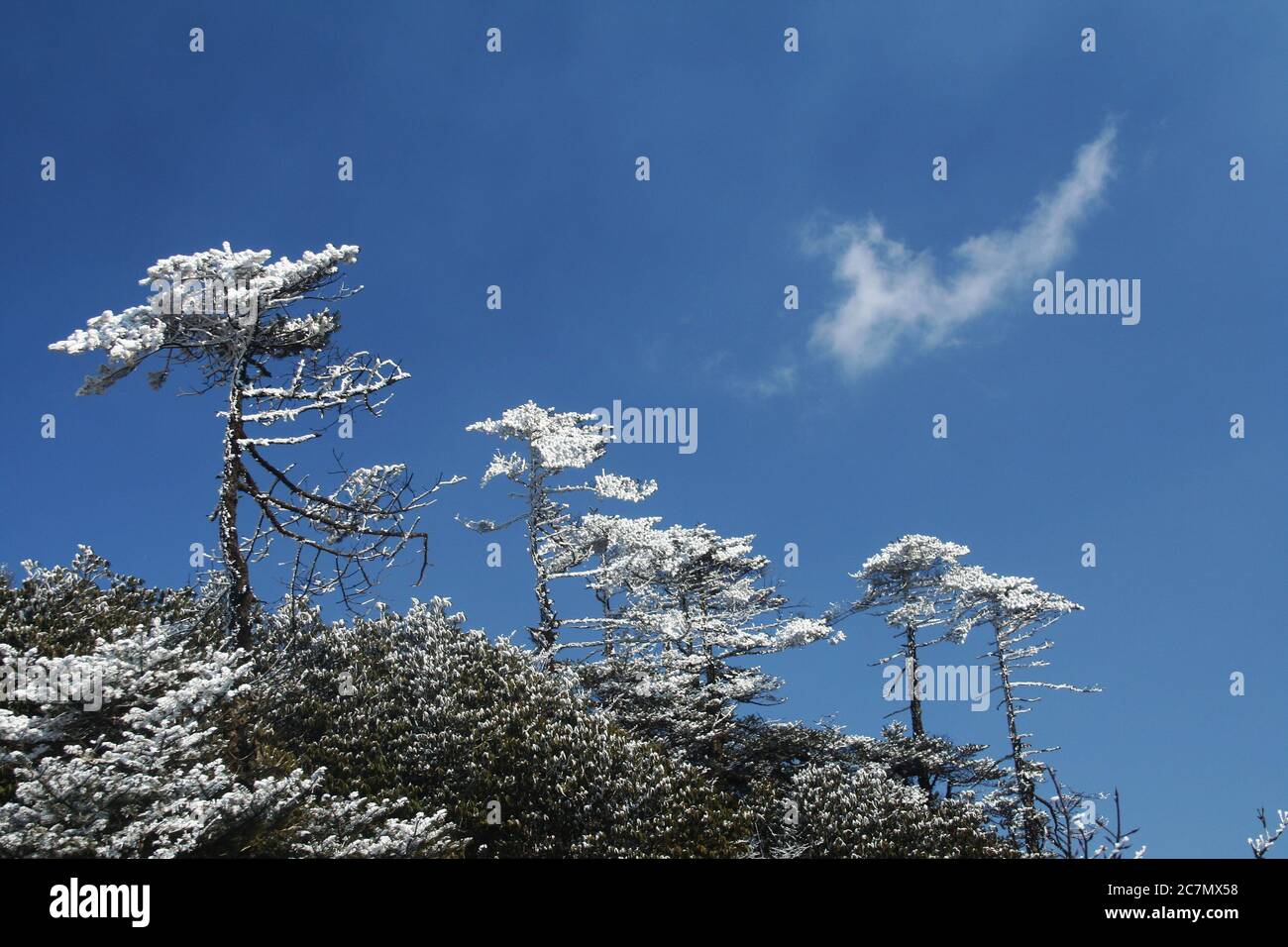 Varglass hi-res stock photography and images - Alamy