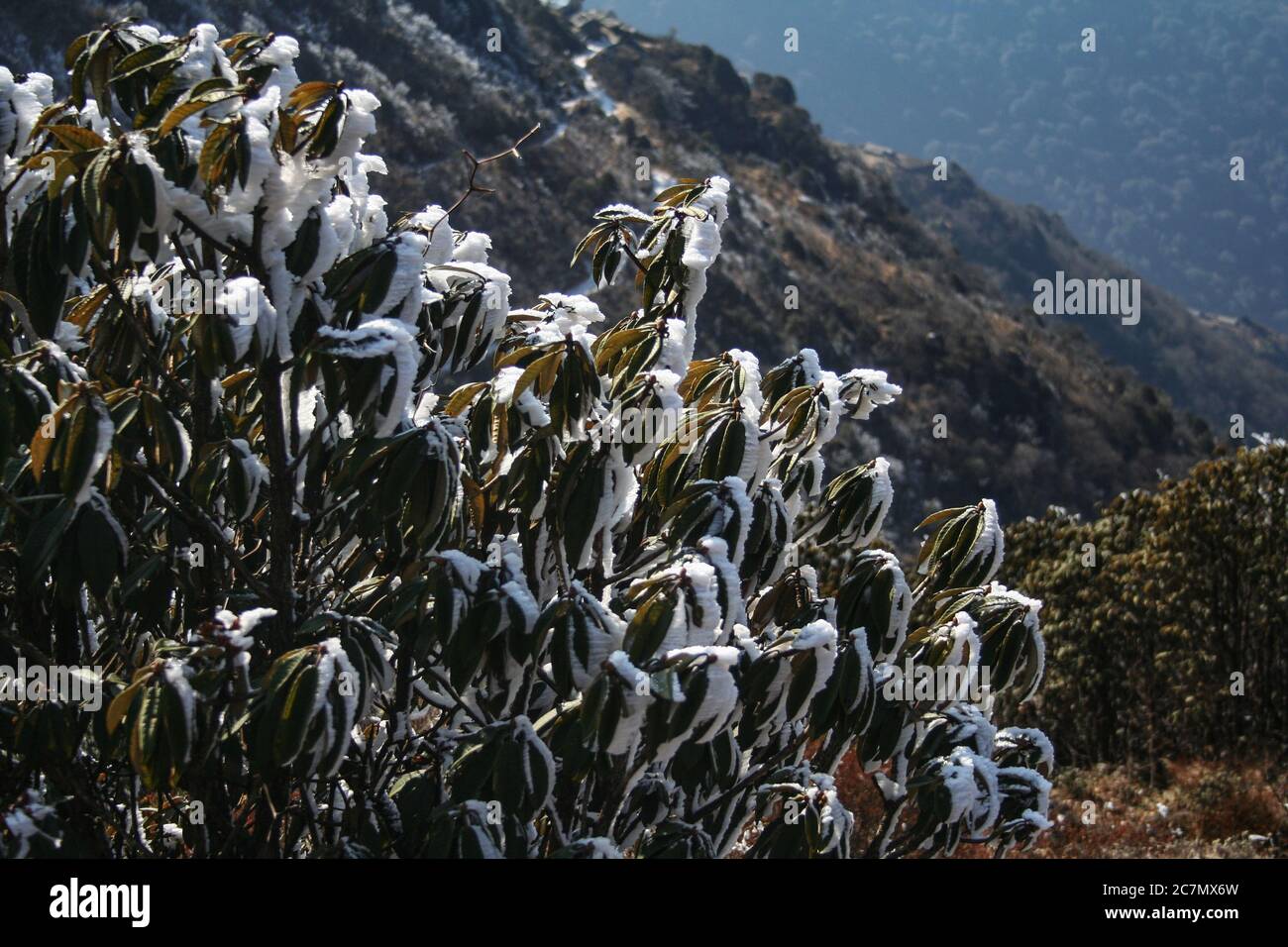 Varglass hi-res stock photography and images - Alamy