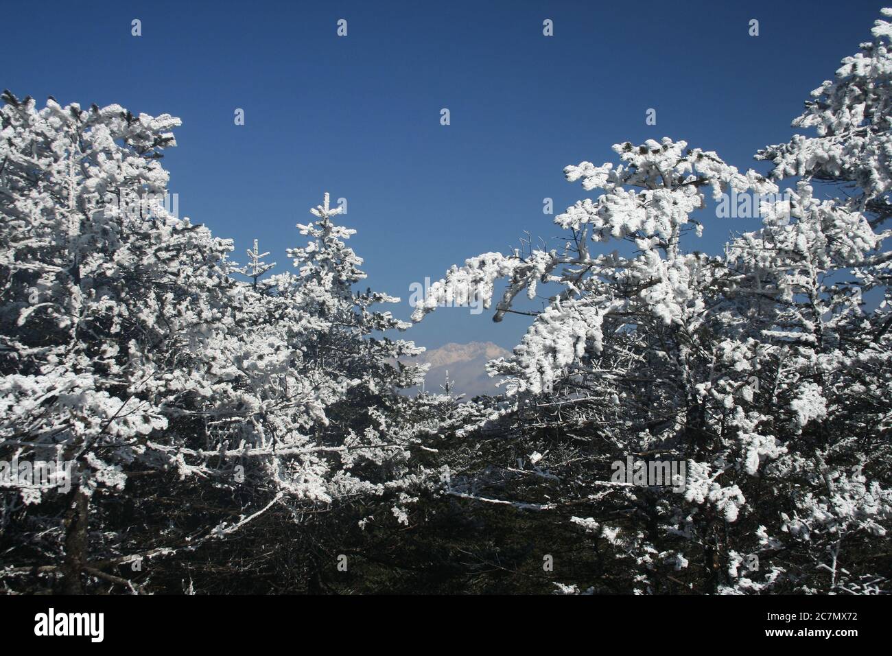 Varglass hi-res stock photography and images - Alamy