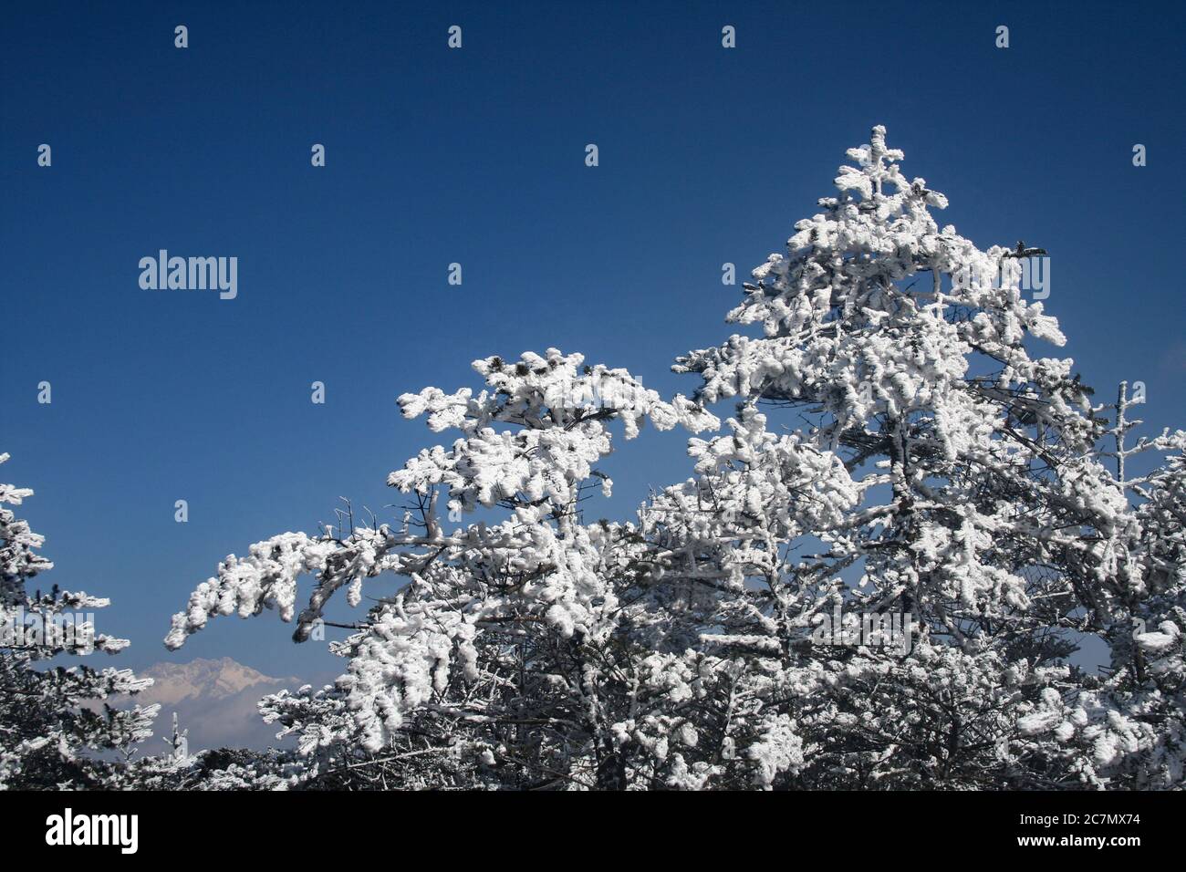 Varglass hi-res stock photography and images - Alamy