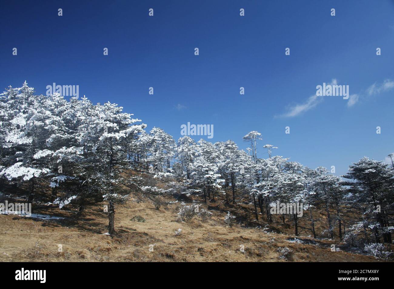 Varglass hi-res stock photography and images - Alamy