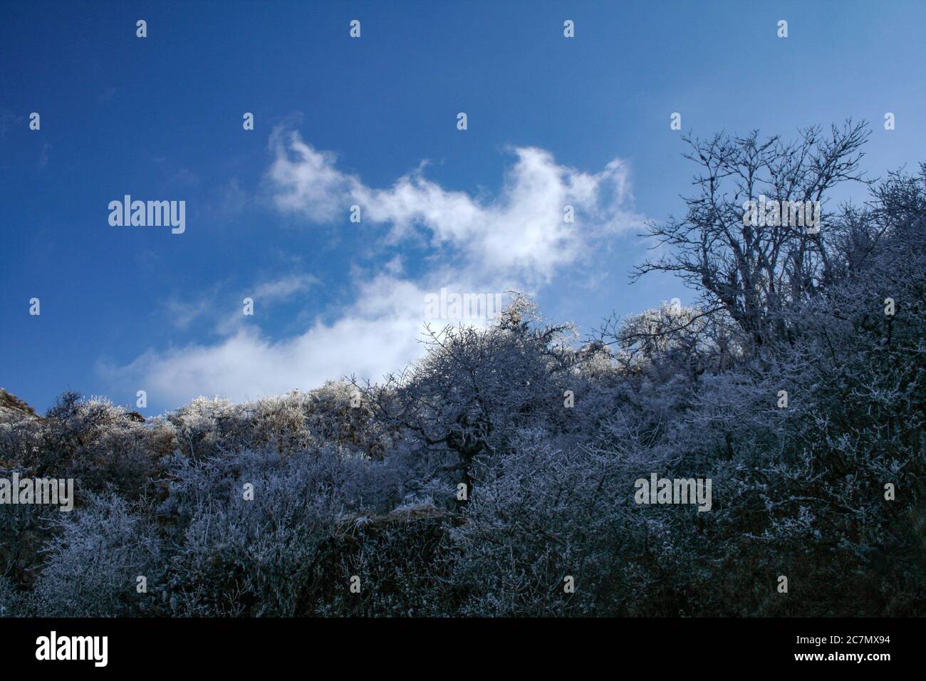 Varglass hi-res stock photography and images - Alamy