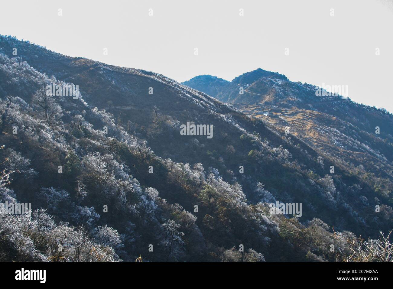 Varglass hi-res stock photography and images - Alamy