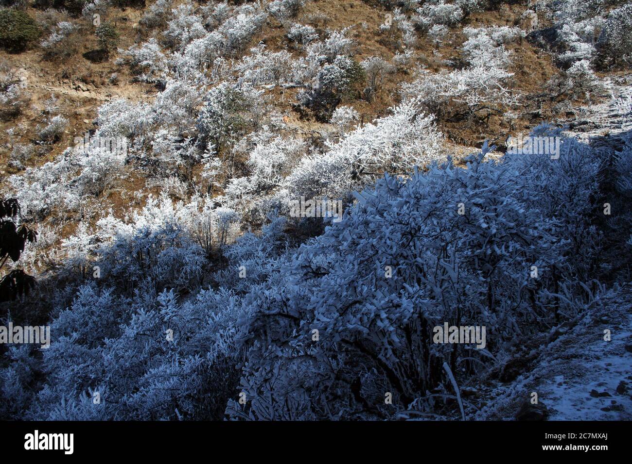 Varglass hi-res stock photography and images - Alamy