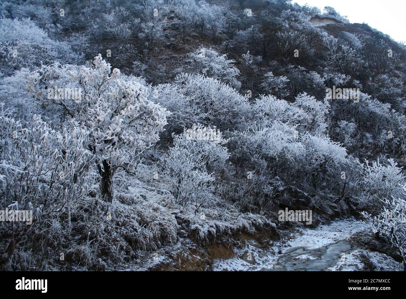 Varglass hi-res stock photography and images - Alamy