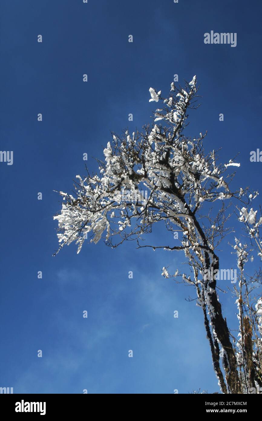 Varglass hi-res stock photography and images - Alamy