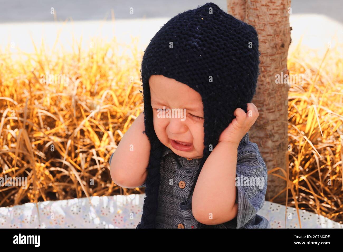 Autumn portrait of 2-3 years old child crying in garden. Fall season ...