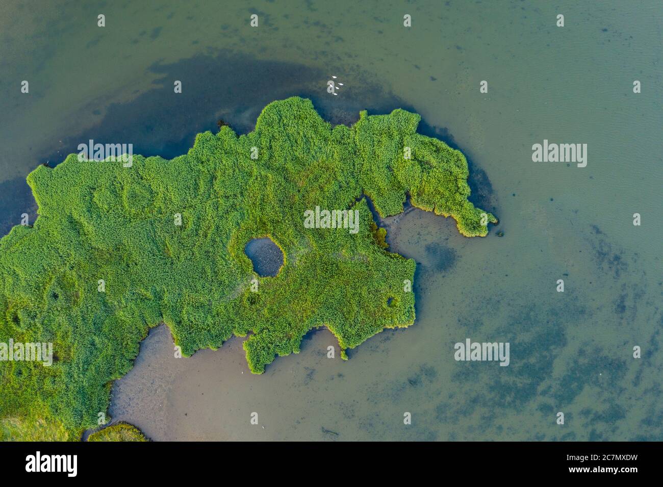 Drone top down bird's eye view landscape image of tidal wetlands in ...