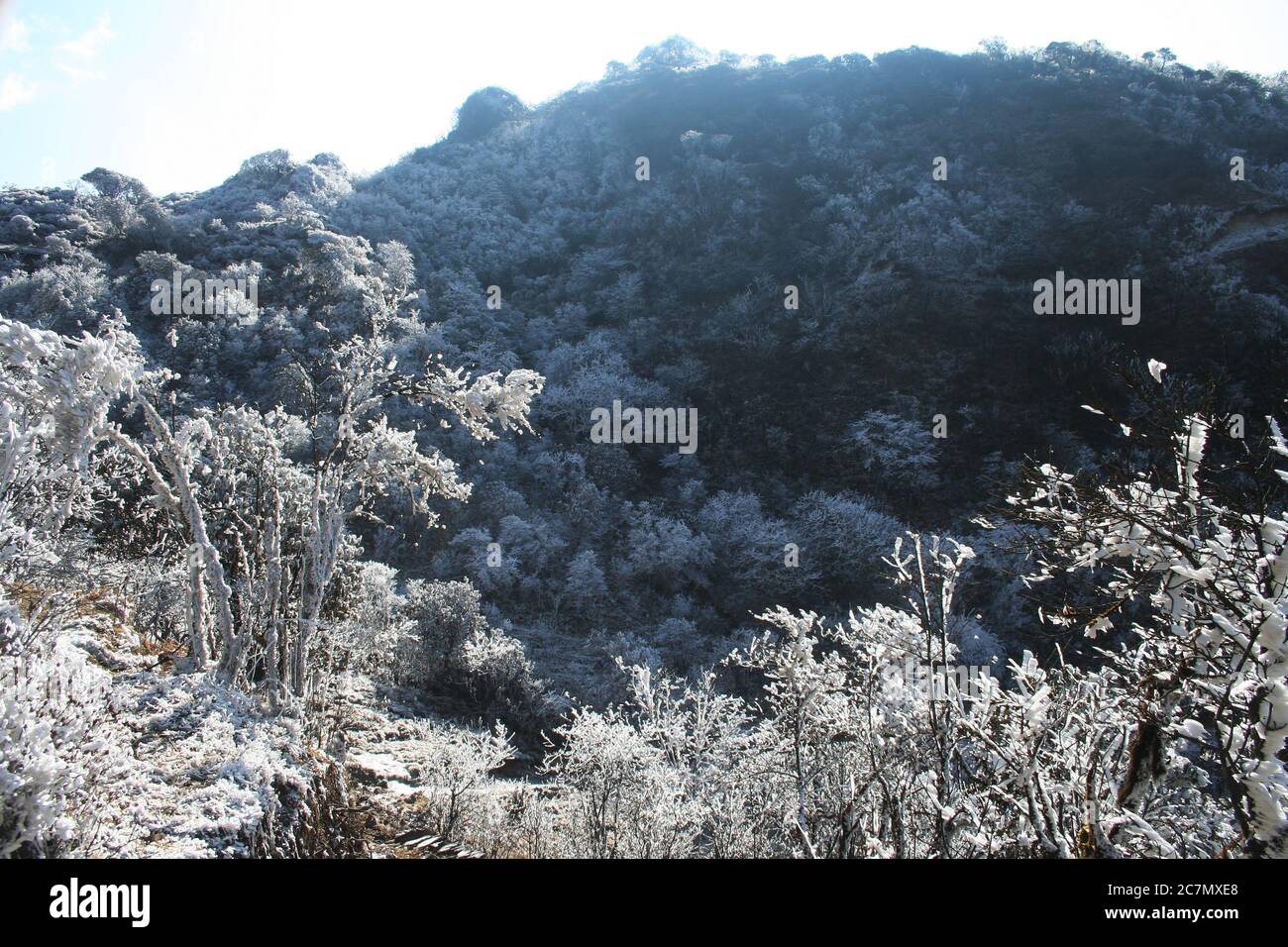 Varglass hi-res stock photography and images - Alamy