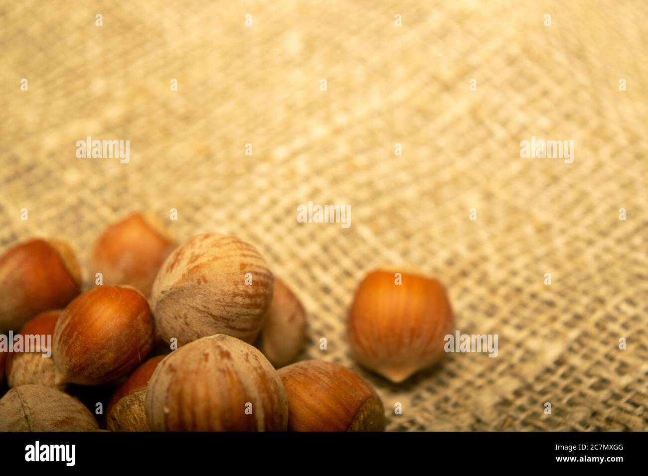 Hazelnut scattered on the background of burlap with a rough texture ...