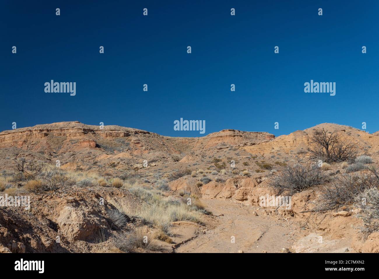 Wide path through the New Mexico desert leading up to a ridge before ...