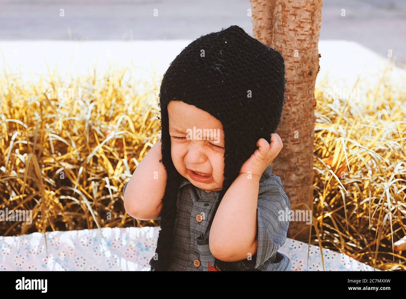Autumn portrait of 2-3 years old child crying in garden. Fall season ...